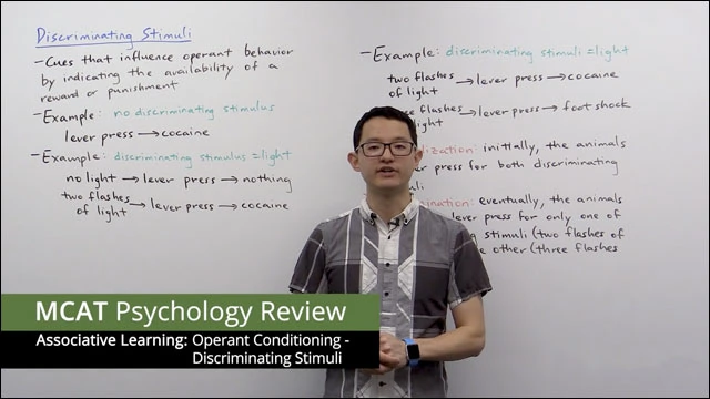 MCAT Tutoring: Live Online 1:1 Prep [99th Percentile Tutors]