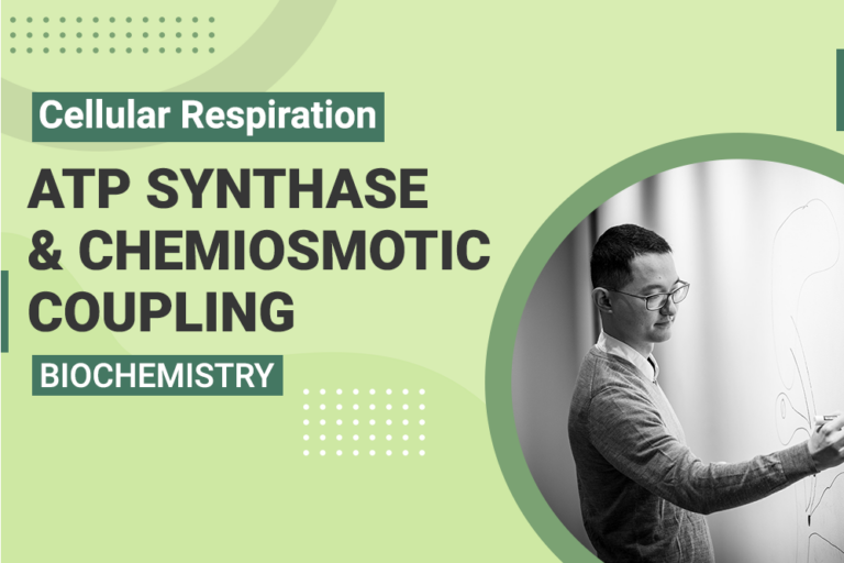 Matthew Winterton MD Master Advisor | MedSchoolCoach