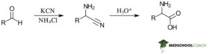 Strecker Synthesis of Amino Acids – MCAT Biochemistry | MedSchoolCoach
