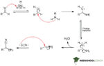 Strecker Synthesis of Amino Acids – MCAT Biochemistry | MedSchoolCoach