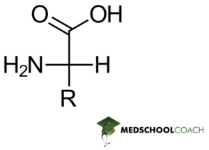 Zwitterions and Isoelectric Point – MCAT Biochemistry | MedSchoolCoach