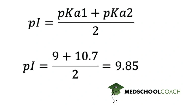 Zwitterions and Isoelectric Point – MCAT Biochemistry | MedSchoolCoach