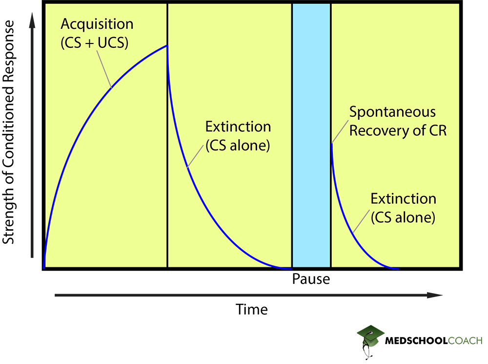 Classical Conditioning – MCAT Psychology | MedSchoolCoach