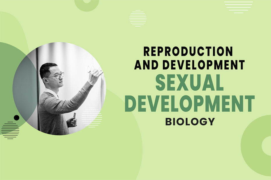 Reproduction & Development | MedSchoolCoach