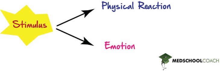 Theories of Emotion – MCAT Psychology | MedSchoolCoach
