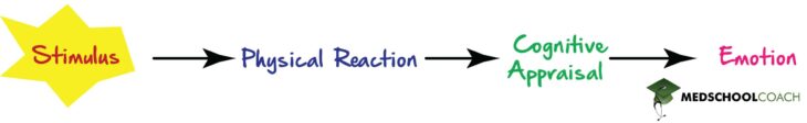 Theories of Emotion – MCAT Psychology | MedSchoolCoach