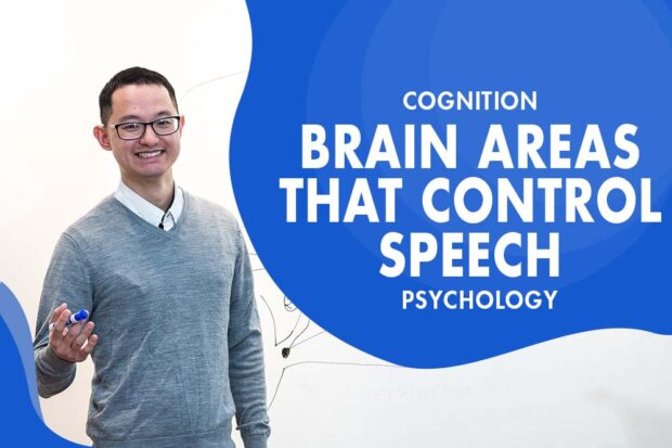 MCAT Masterclass | MedSchoolCoach