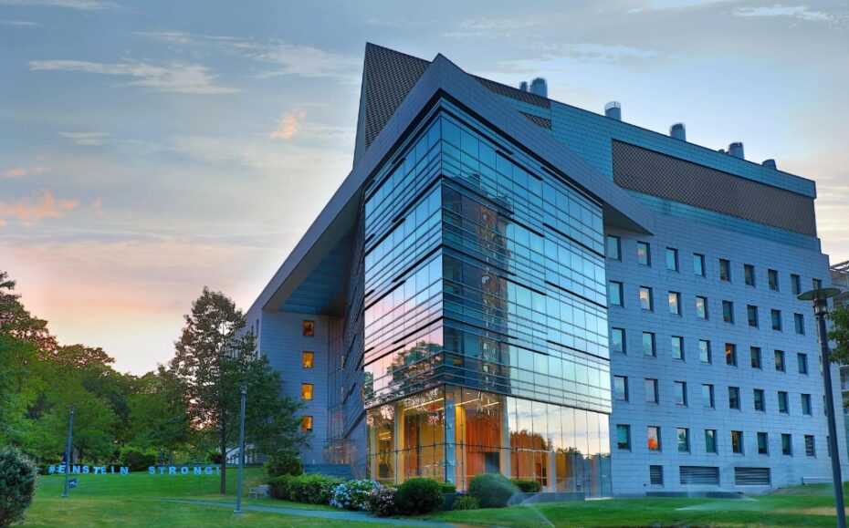 12 of the Best Medical Schools in the U.S. (2024)